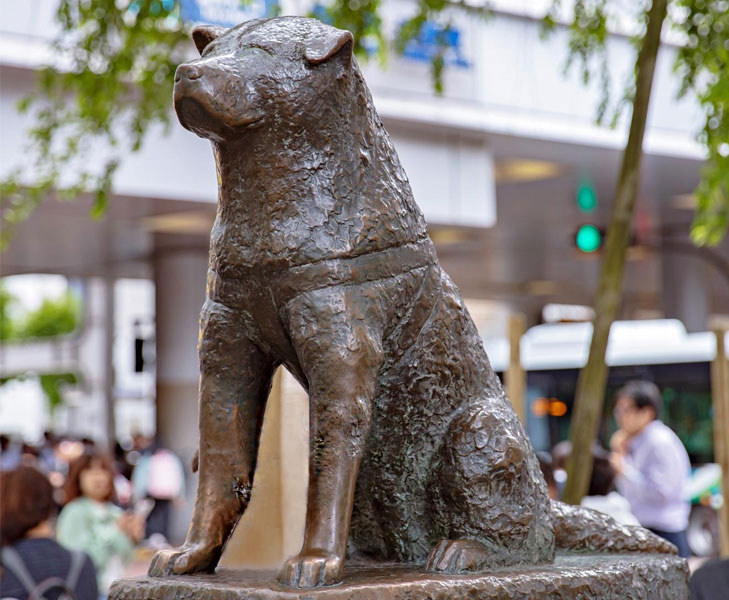 About Us – Cybertech Cebu